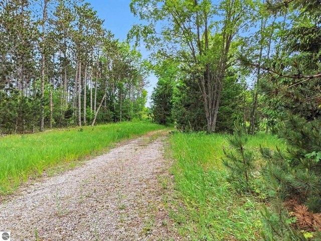 W 12 1/2 Rd, Mesick, MI 49668