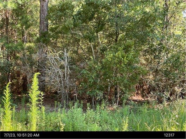 Wanda Way, Tifton, GA 31794
