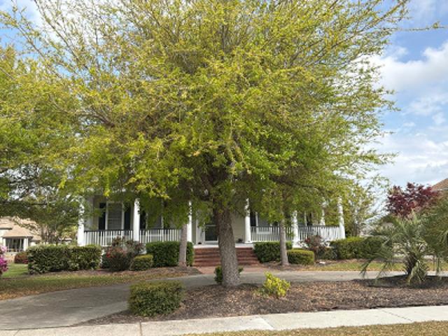 Wacobee Dr