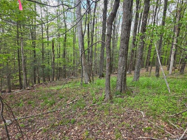 Wade Rd, Fallsburg, NY 12733
