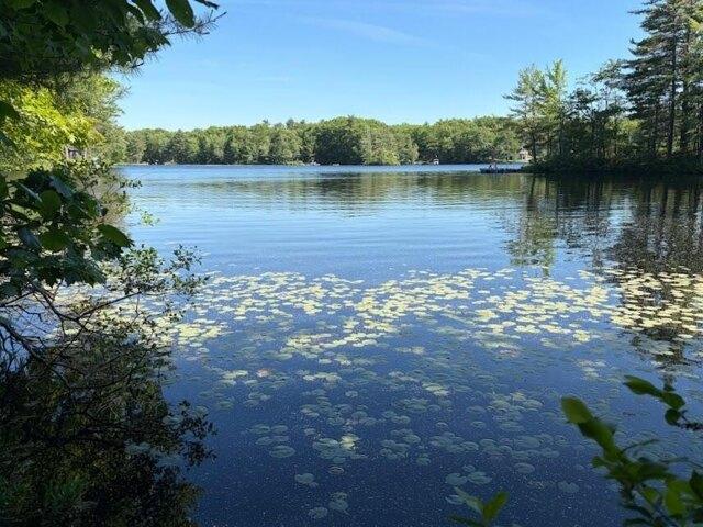 Wadleigh Pond Rd, Lyman, Plot For Sale