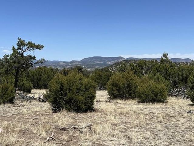 Wagon Trail Rd Lot 66, Datil, NM 87821