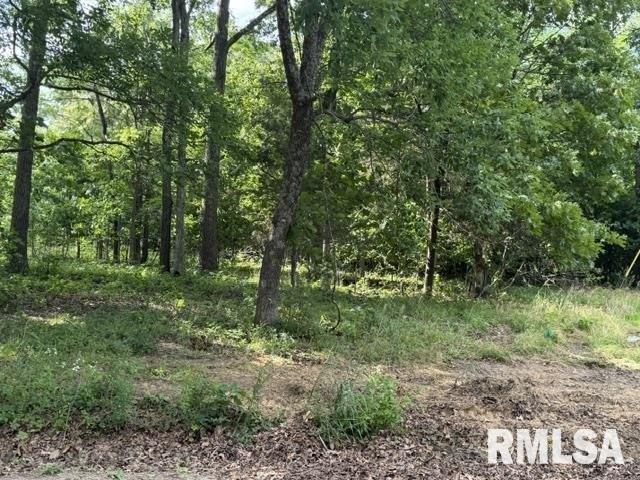 Wagon Creek Loop, Creal Springs, IL 62922