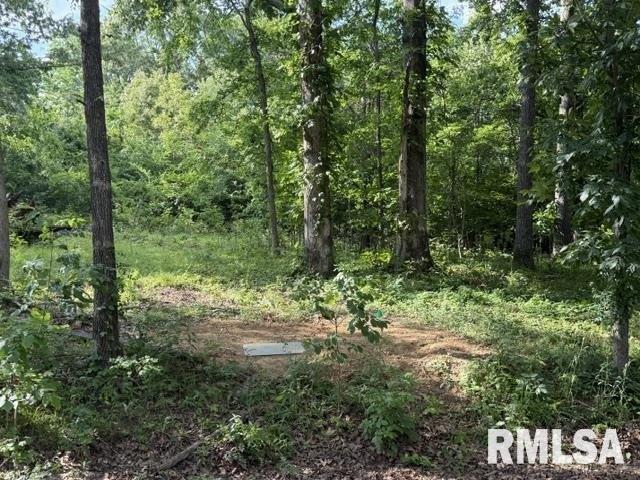 Wagon Creek Loop, Creal Springs, IL 62922