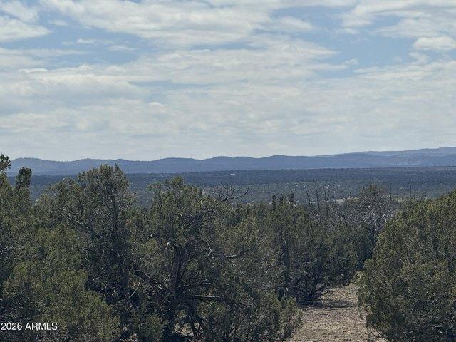 Wagon Ln Lot 014E, Snowflake, AZ 85937
