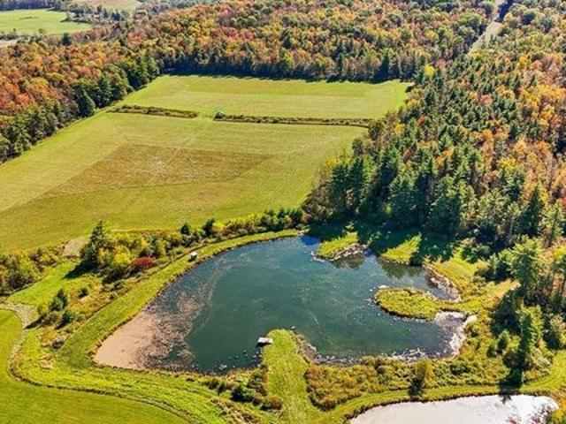Waits Rd, Owego, NY 13827