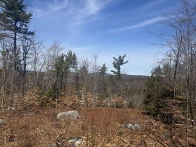 Wakefield Rd N, Wolfeboro, Plot For Sale