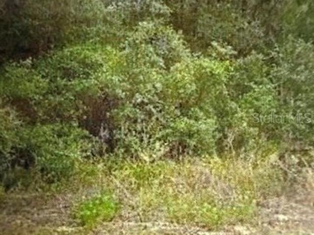 Walton, Dunnellon, FL 34434