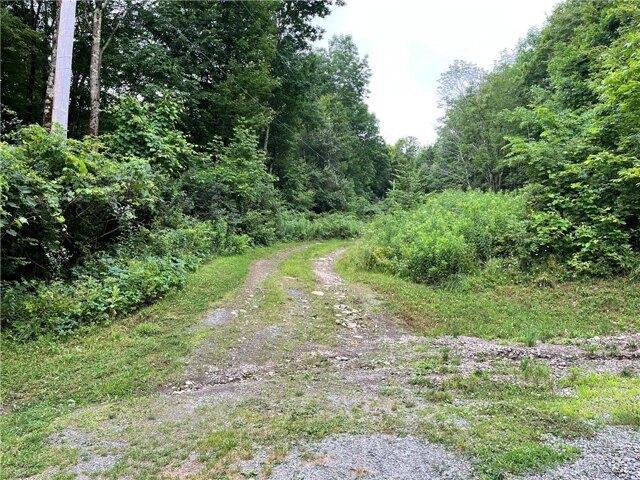 Walton NY 13856 93404947