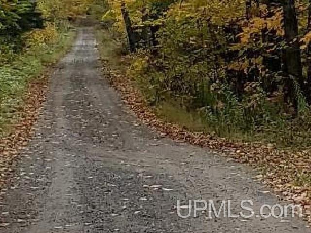 Walts Rd, Iron Mountain, MI 49801