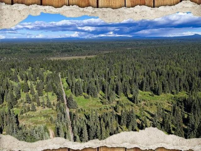 Walatka Ave, Ninilchik, AK 99639