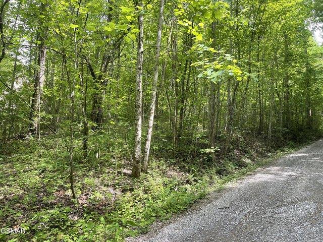 Walden Flats Way Lot 4, Sevierville, TN 37862