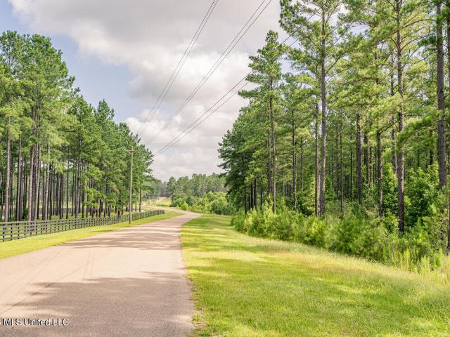 Walden Way, Hattiesburg, MS 39402