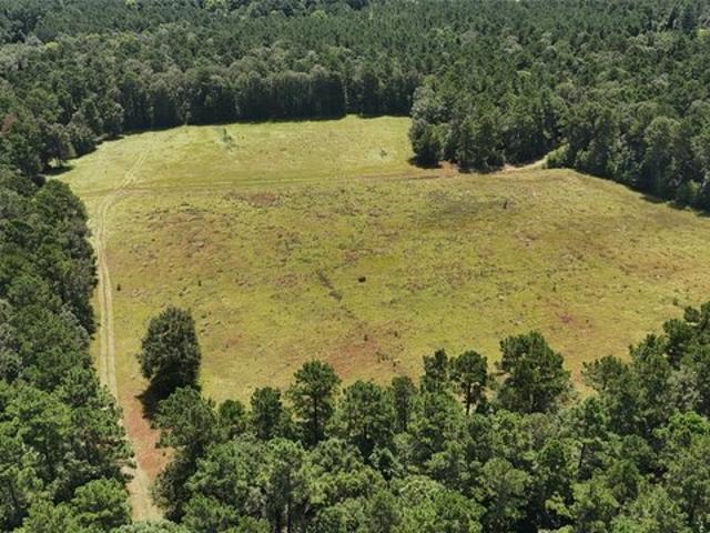 Walding Rd, Livingston, TX 77351