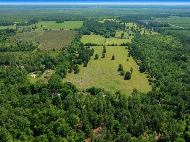 Waldo FL 32694 LS89871095