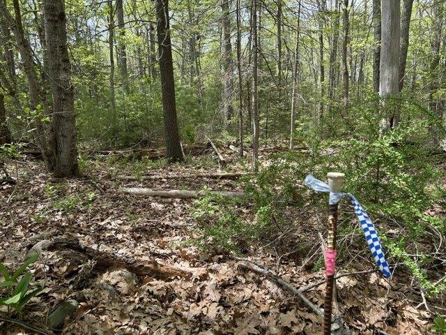 Waldoboro ME 04572 104608060
