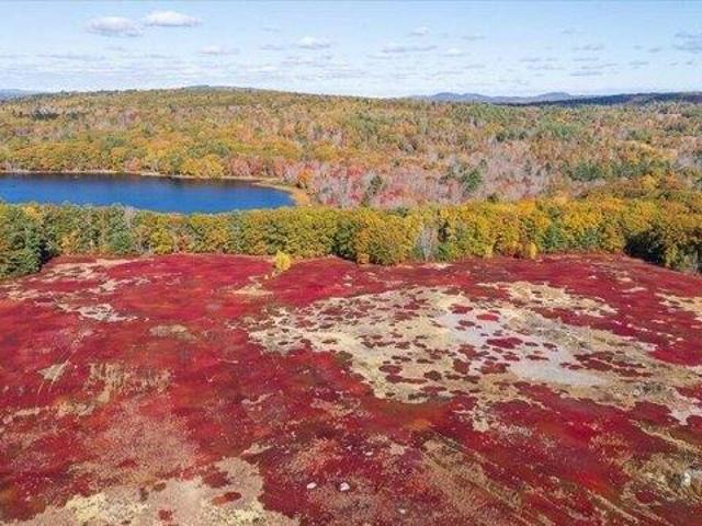 Waldoboro ME 04572 104848603