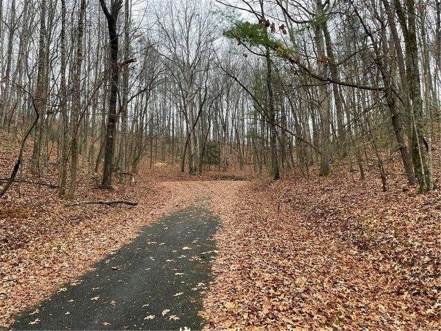 Walhalla Ct, Ellijay, GA 30540