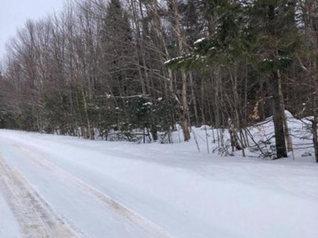 Walkerville Rd, North Bangor, NY 12966