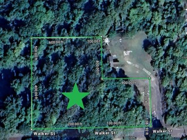 Walker Street, AR 72342