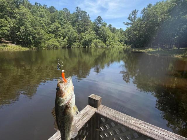 Walker Road, Newton, MS 39345