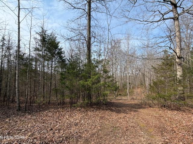Walker Rd, Sharps Chapel, TN 37866