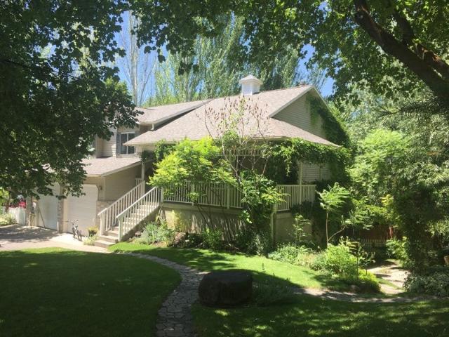 Walkout Basement Apartment