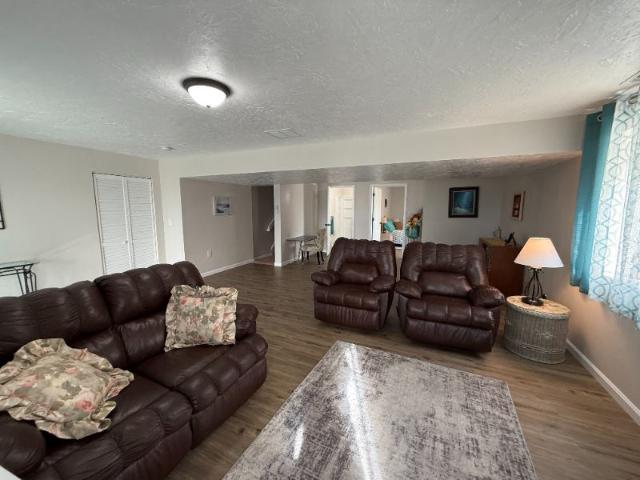 Walkout basement apartment_newly finished