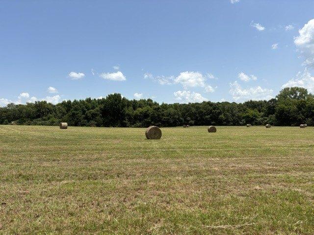 Wallace Mill Rd, Leighton, AL 35646