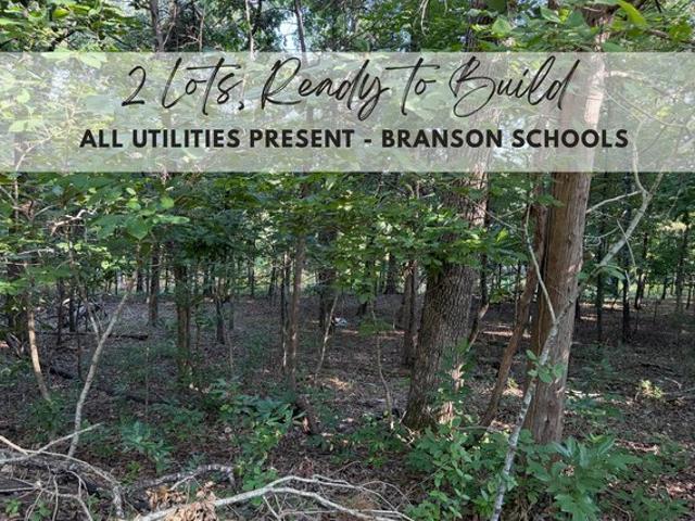 Wallace Dr, Rockaway Beach, MO 65740