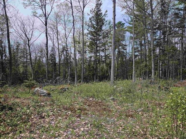 Wallace Hill Rd Lot,franconia, Plot For Sale