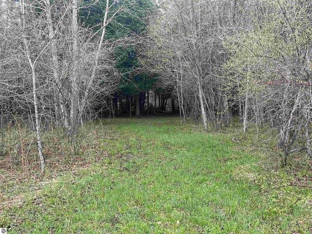 Wallen Rd, Thompsonville, MI 49643