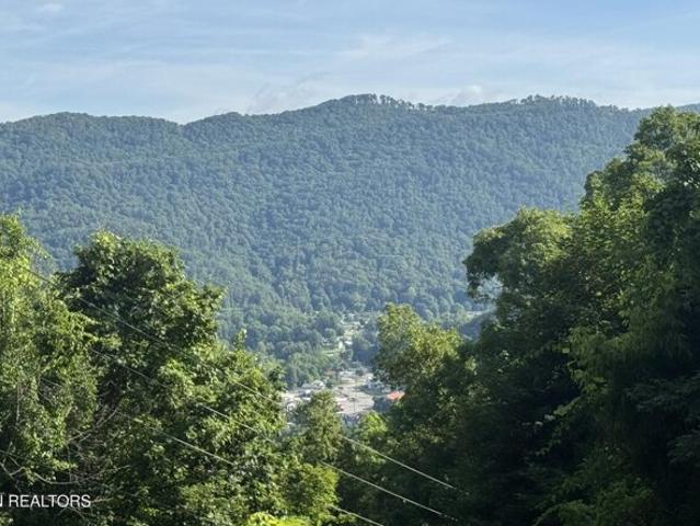 Wallens Ridge Rd, Big Stone Gap, Plot For Sale
