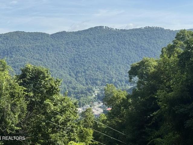Wallens Ridge Rd, Big Stone Gap, VA 24219