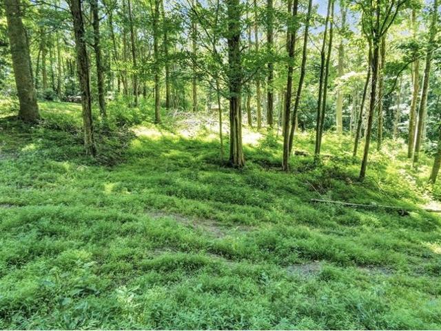 Walleye Way Unit 23A, Scottsville, KY 42164