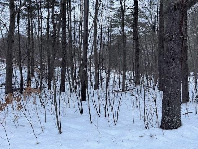 Wallum Lake Rd, Burrillville, Plot For Sale