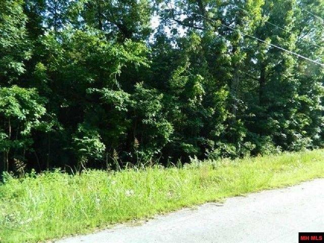 Walnut Ave Lot 1 4, Bull Shoals, AR 72619