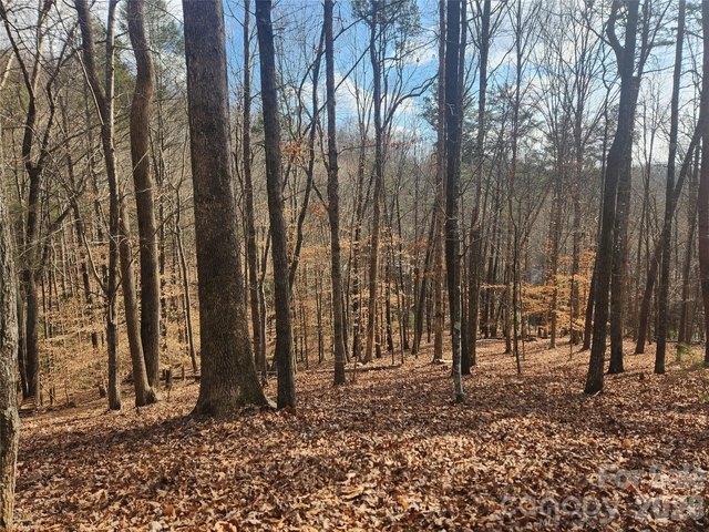 Walnut Ln Lot 83, Lake Lure, NC 28746