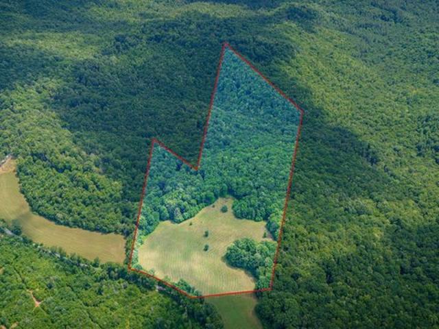 Walnut Mtn Rd, Roan Mountain, TN 37687
