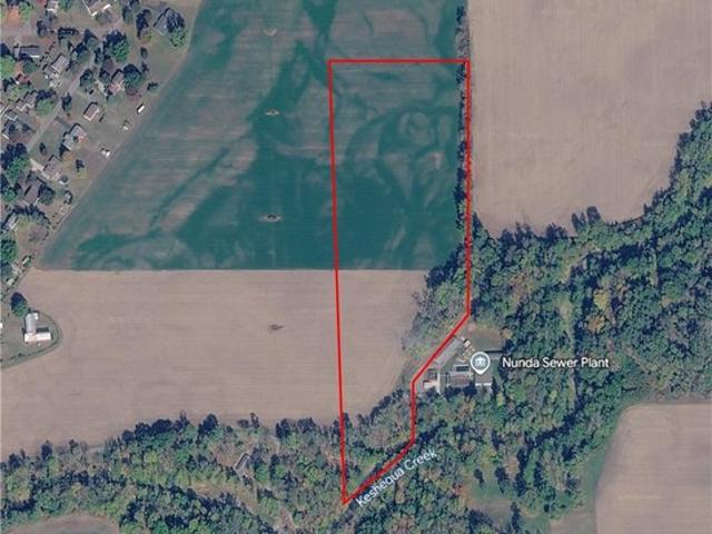 Walnut St, Nunda, NY 14517