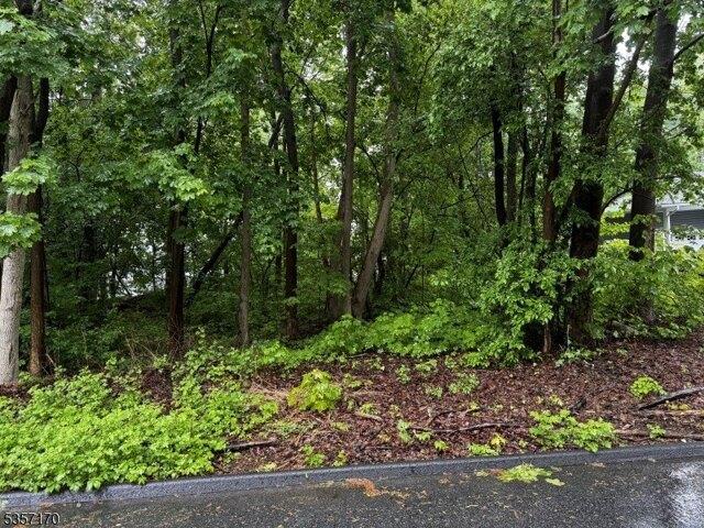 Walnut St, West Milford, Plot For Sale