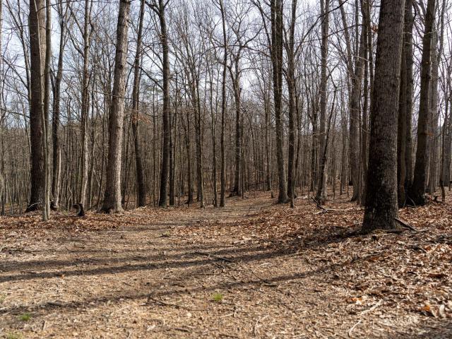 Walnut Ridge Road SE