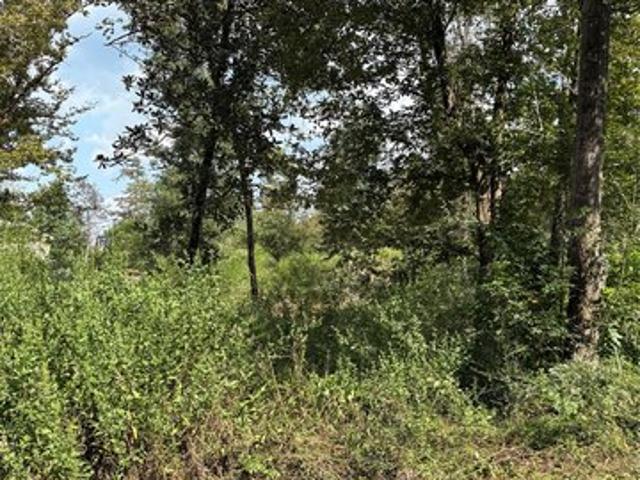Walnut Ridge Rd, Livingston, TX 77351