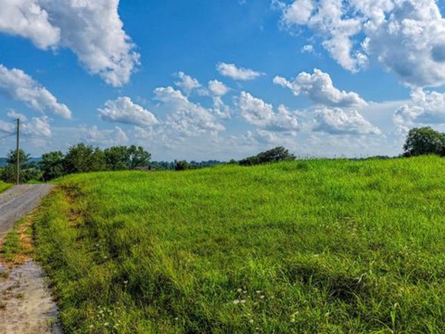 Walnut Ridge Way, Rogersville, TN 37857