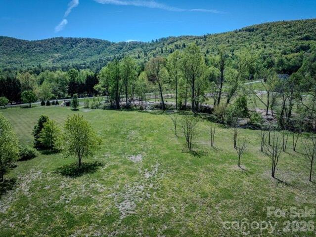 Walnut Valley Ln Unit,hendersonville, Plot For Sale