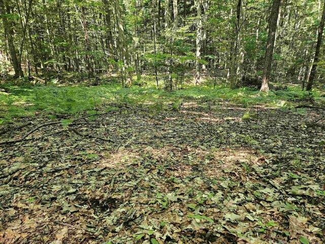 Walpole NH 03608 103968089