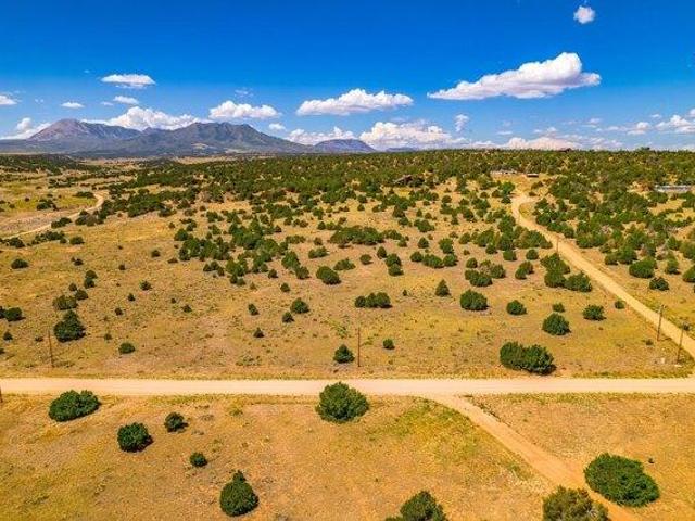 Walsenburg CO 81089 LS94738768