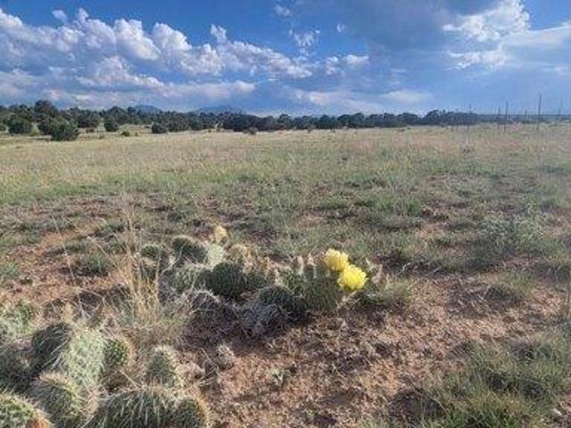 Walsenburg CO 81089 LS94772013