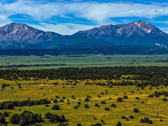 Walsenburg CO 81089 LS94773821