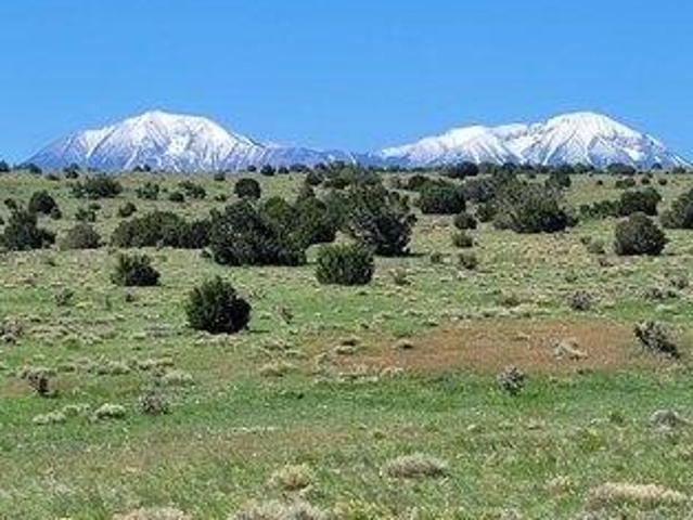 Walsenburg CO 81089 LS94810456